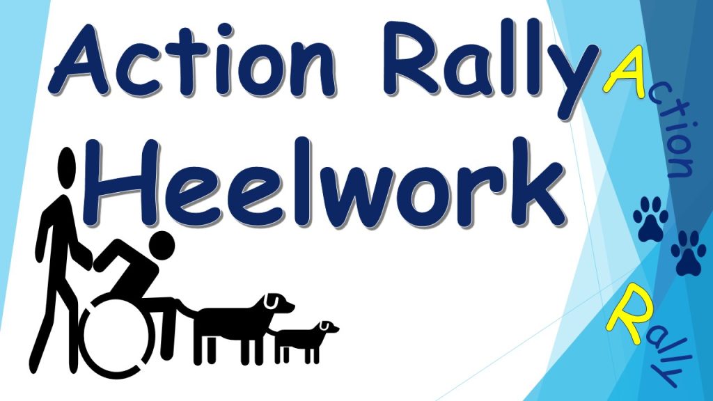 Action Rally Dog – Action Rally Dogs For Fun