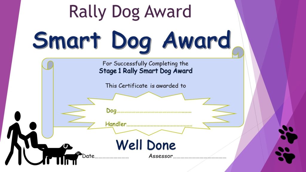Rally Dog – Action Rally Dogs For Fun